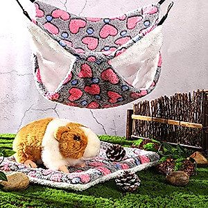 2 Pieces Rat Hammock and Guinea Pigs Soft Blankets Set Ferret Hanging Hammock Small Animal Hammock Guinea Pig Accessories Hamster Mats for Rat Ferret Guinea Pig Squirrel Small Pet (Grey)
