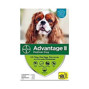 Advantage II For Medium Dogs 11-20 lbs, 12 Pack