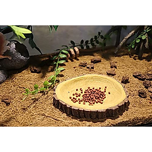 AQUA KT Reptile Corner Water Dish Food Feeding Bowl for Snake Lizard Bearded Dragon Turtle Feed and Terrarium Habitat Cage Decoration
