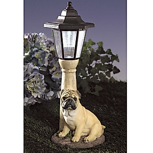Bits and Pieces-Solar Light Fawn Pug-Solar Powered Garden Lantern - Resin Dog Sculpture with LED Light