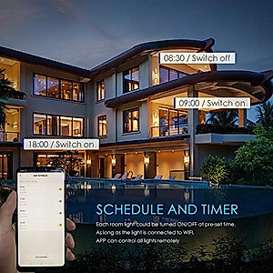 TALOYA Smart Ceiling Light Flush Mount LED WiFi, Compatible with Alexa Google Home, Dimmable Low Profile Ambient Light Fixture for Bedroom Living Room,12 Inch 24W