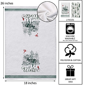 Seliem Hello Winter Watercolor Pine Trees Kitchen Dish Towel Set of 2, Cardinal Reindeer Blue Grey Hand Drying Baking Cooking Cloth, Red Bird Farmhouse Snow Holiday Decor Home Decoration 18 x 26 Inch