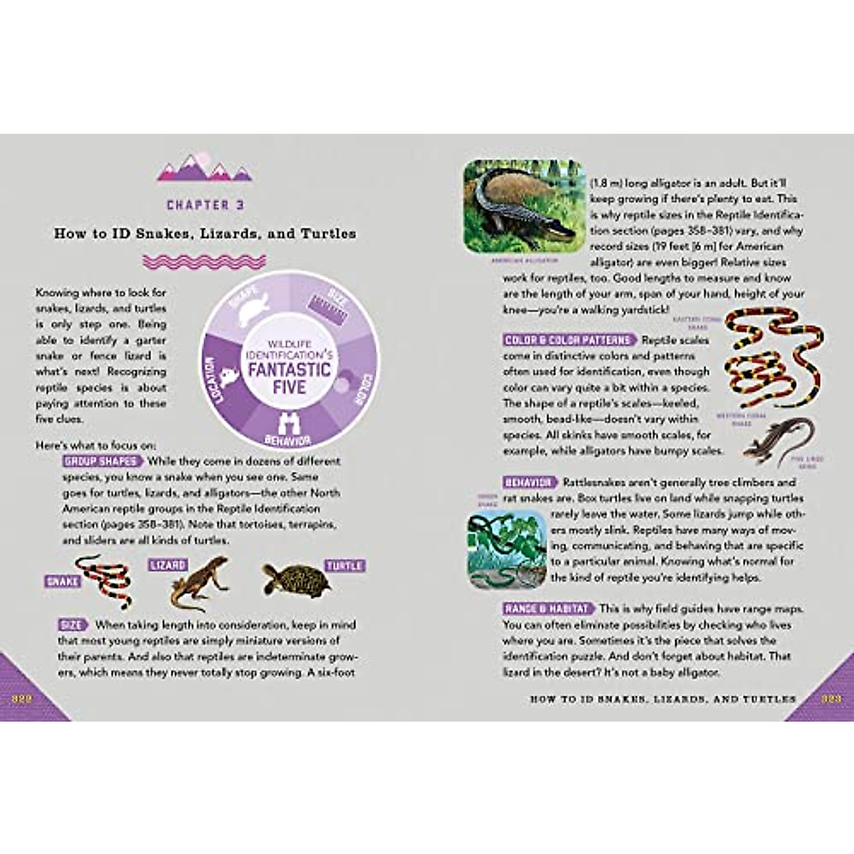 Outdoor School: Animal Watching: The Definitive Interactive Nature Guide