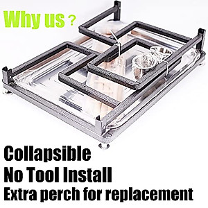 Bird Playground, Playstand for Small to Large Birds with Collapsible Metal Frame, Heavy Duty Quick-Install No Tool Request, 4 Standing Perch, 2 ladders and 2 Bird Cups