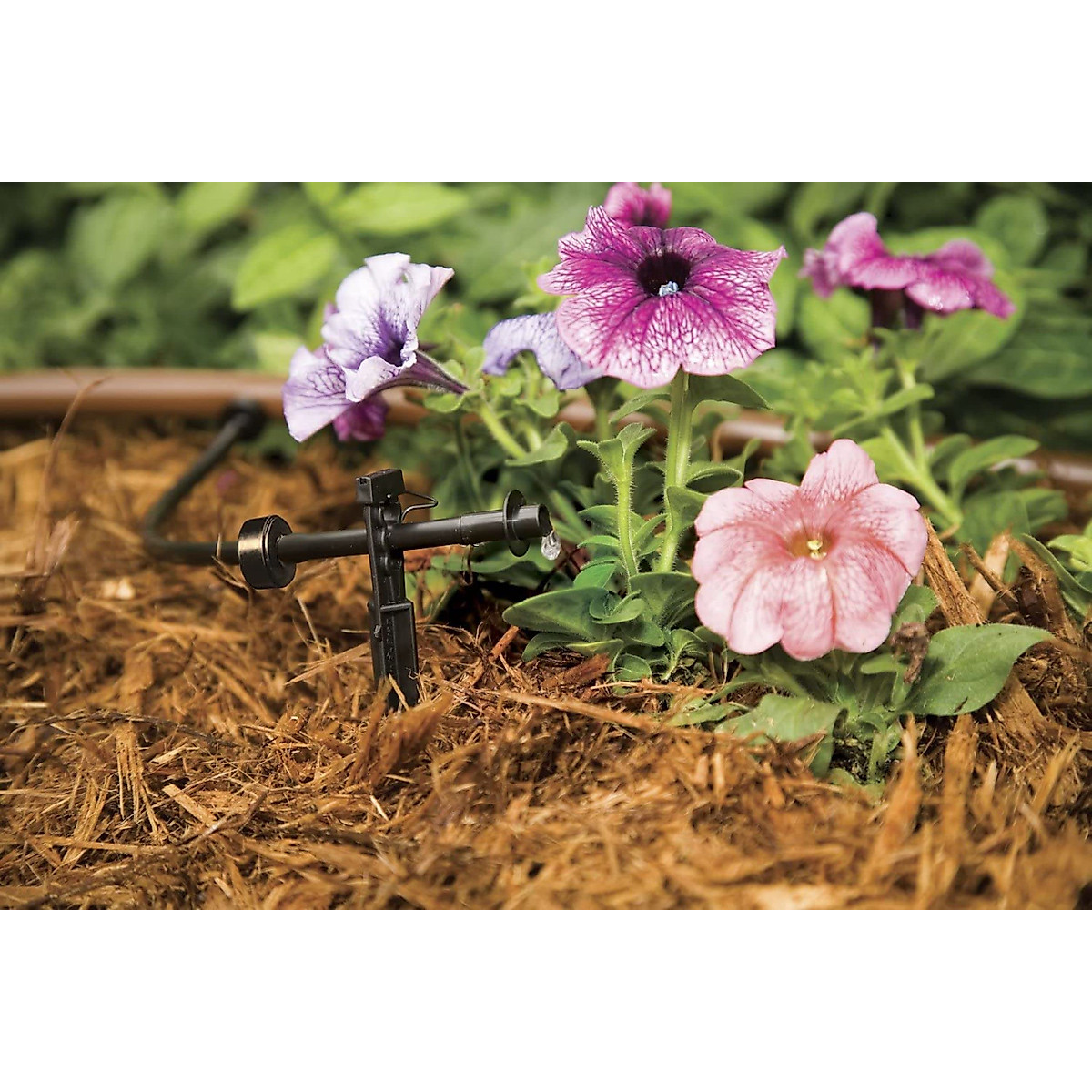 Rain Bird SW10-30PS Drip Irrigation Spot Watering Dripper/Emitter, 1 Gallon Per Hour, 30-Pack
