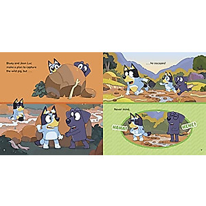 Bluey: Camping