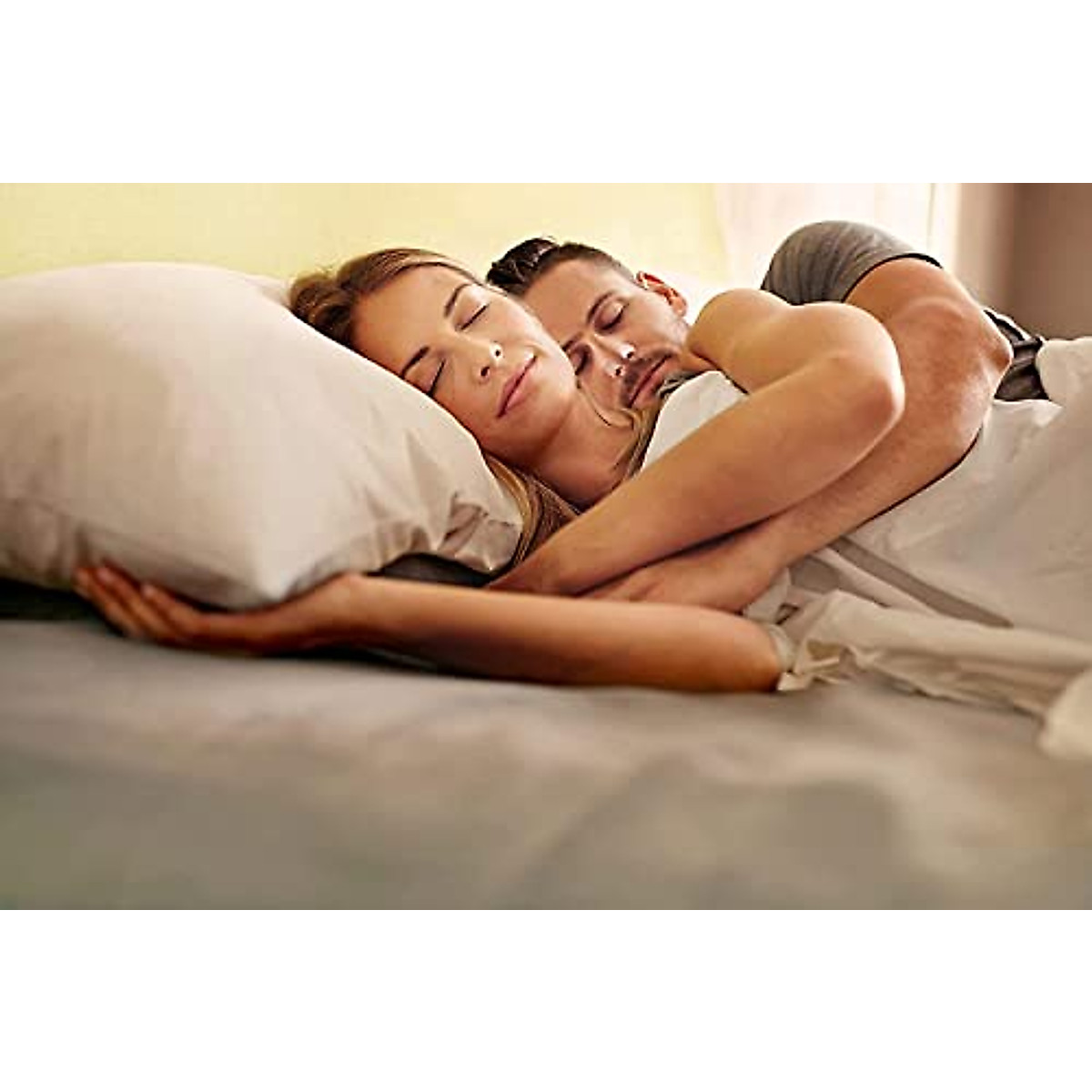 Fitted Bottom Sheet Twin XL 1000 Series 16'' Fitted Sheet Twin XL Size 39'' x 80'' Wrinkle Free Taupe Egyptian Cotton Twin XL Fitted Sheet