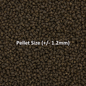 Ocean Nutrition Formula Two Pellets 7-Ounces (200 Grams) Jar - Small Pellet Size
