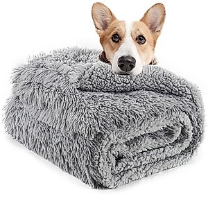 LOCHAS Luxury Fluffy Dog Blanket, Extra Soft and Warm Sherpa Fleece Pet Blankets for Dogs Cats, Plush Furry Faux Fur Puppy Throw Cover, 20''x30'' Grey