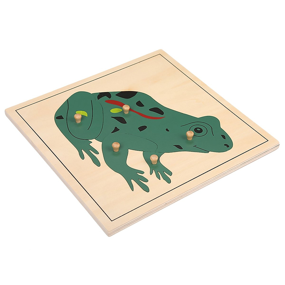 MEYOR Montessori Frog Puzzle for Early Preschool Education Learning Toy