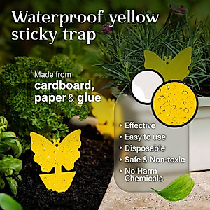 Premium Fruit Fly Traps | Double Sided Gnat Traps | Waterproof Yellow Sticky Traps are Great Outdoors | Also for Fungus Gnats, Aphids, Flies, Moths and Spiders | Pack of 25