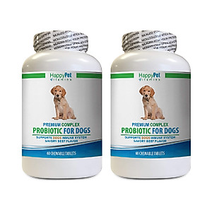 HAPPY PET VITAMINS LLC Dog Digestive Powder - Dog Premium PROBIOTICS - Savory Beef Flavor - Stops Diarrhea Bad Gas Bad Breath - Gut Health - Dog Bad Breath Powder - 2 Bottles (120 Treats)