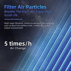 AROEVE Air Purifier with Two Filter(One Basic Version & One Standard Version)