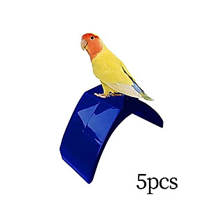 5 Pieces Durable Pigeon Rest Stand Stable Lightweight Hanging Frame Cage Accessories Grill Dwelling Shelf Pigeon Perch for Pigeons Training, Black