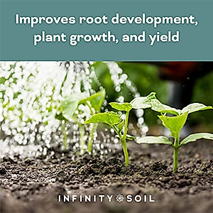 Infinity Soil - Fish Bone Meal - Sustainable and Natural Soil Amendment - Made from Dried Fish Bones - A Natural Source of Phosphorus and Calcium - 1 LB