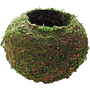 Moss Ball Flower Pot Natural Planter Bonsai Plant Holder Bird Nest for DIY Gardening Home Table Decoration - 12cm