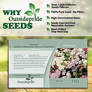 Outsidepride Perennial Achillea Millefolium Yarrow Pastels Garden Flowers for Cutting - 1000 Seeds