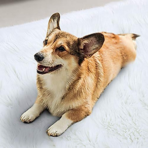 Andecor Soft Fluffy Faux Fur Bedroom Rugs 3 x 5 Feet Indoor Wool Sheepskin Area Rug for Girls Baby Living Room Chair Sofa Home Decor Floor Carpet, White