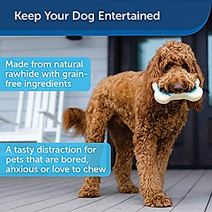 PetSafe Forever Bone Dog Chew Toy, Treat Holding Nylon and Rubber Textured Dog Toy for Aggressive Chewers, SMALL