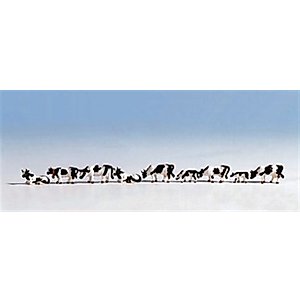 Noch 36721 Cows Black/White 9/ N Scale Figures