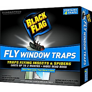 Black Flag Fly Window Trap (Pack of 3)