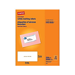 Staples 489565 Laser/Inkjet Shipping Labels 2-Inch X 4-Inch White 10 Labels/Sheet