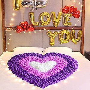 obmwang 2000 PCS Artificial Silk Rose Petals for Wedding Party Favors Decoration and Vase Home Decor Wedding Bridal Decoration. Purple