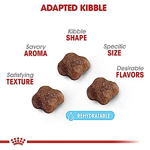 Royal Canin Feline Health Nutrition Kitten Dry Cat Food, 7 lb bag