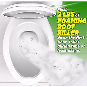 FOAMING Root Killer | 10 Pound| Kills Tree Roots in Pipes & Sewer Lines | Contains No Copper Sulfate