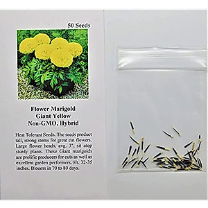 David's Garden Seeds Flower Marigold Giant Yellow FBA-1884 (Yellow) 50 Non-GMO, Hybrid Seeds