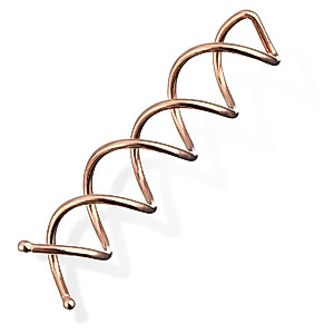 eBoot Spiral Hair Pin Spin Pin Spiral Hair Clip Spin Clip Bun Stick Pick for DIY Hair Style 20 Pack (Rose Gold)