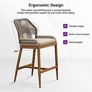 PURPLE LEAF Patio Sunbrella Bar Stools 28" H Set of 2 Handwoven Wicker Bar Height Stool Modern Aluminum High Bar Chairs Outdoor Wicker Barstools with Back and Cushion for Kitchen Pool Island