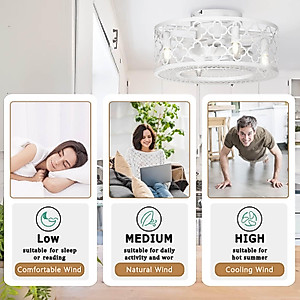 Coolbull White Caged Ceiling Fans with Lights and Remote Outdoor Enclosed Bladeless 18 Inch Low Profile Flush Mount Fixture Small Fandelier LED Ceiling Fan Light for Kitchen Farmhouse Bedroom