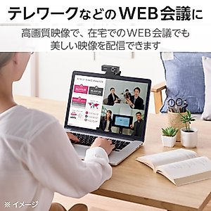 ELECOM Web Camera with Built-in Microphone 2 Million Pixels high Definition Glass Lens Type [Black] UCAM-C520FBBK (Japan Import)