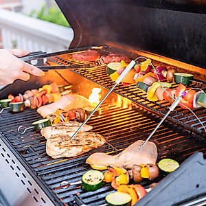 2-Pack Upgraded Replacement Probe for Thermopro TP20 TP08S TP07 TP25 TP930 TP829 TP910 TP826,Ultra Accurate & Fast Meat Temperature Probe for TP20 TP17 TP-27 TP08S TP17H TP06s TP16S TP09 TP28