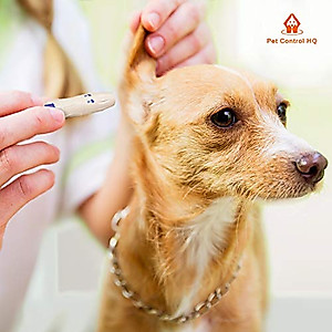 Pet Control HQ Blood Sugar Glucose Monitor System - Cat and Dog Glucose Monitoring Kit - Accurate Diabetes Testing 2 Calibrated Code-Chips, Lancets, Logbook - Monitor + 50 Test Strips