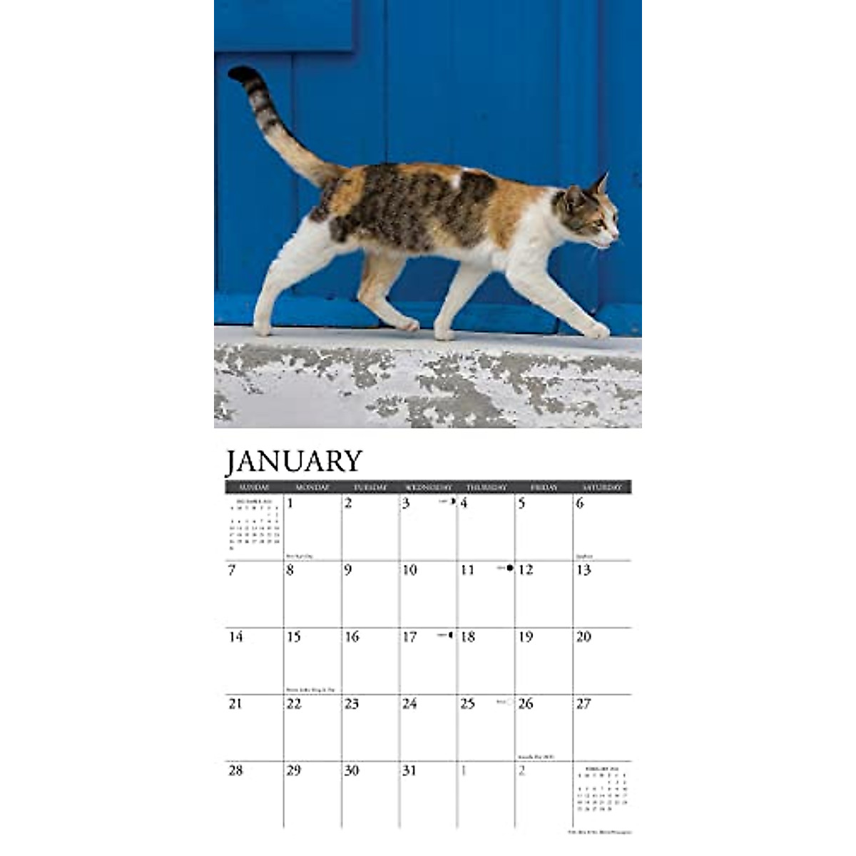 Willow Creek Press Calico Cats Monthly 2024 Wall Calendar (12" x 12")