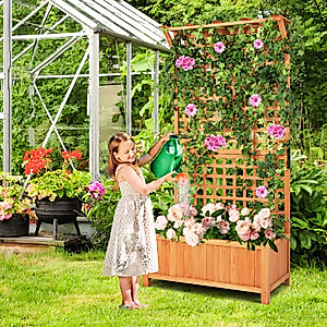 S AFSTAR Planter with Trellis Set of 2, 35.5x17.5x72.5-inch Wood Planter Box with Lattice Trellis & Hanging Roof, Removable Base, Trellis Planter Box for Climbing Plant Flower Rose Grape Cucumber