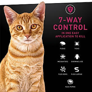 NEXTSTAR Flea and Tick Prevention for Cats, Small Cat and Kitten Treatment & Control, Fast Acting Waterproof Topical Drops, 1 Month Supply