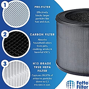 Fette Filter - 2 Premium True Hepa H13 Replacement Filter Size O Compatible with Winix Air Purifier Model A230 A231 Compare to Part # 1712-0110-00, 1712011000