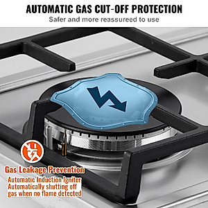 VEVOR 12 inch 2 Burners Cooktop Max 12250BTU Built-in Stainless Steel Stove Top LPG/NG Convertible Dual Fuel Natural Gas Hob with Thermocouple Protection for Outdoor, Kitchen, Camping, RV