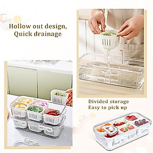 Dualshine Divided Serving Tray with Lid, Fruit Storage Containers for Fridge, Snack Box, Portable Food Storage Containers with 6 Compartments Keep Fruits, Snacks, Vegetables and Spices Fresh Longer