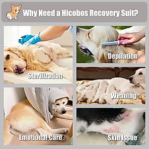 Dog Recovery Suit After Surgery,Dog Surgery Onesie Cone E-Collar Alternatives for Small Large Medium Cats Dogs,Spay Neuter Body Suit Pajamas for Male Female Dogs (Black Red Stripe, X-Large)