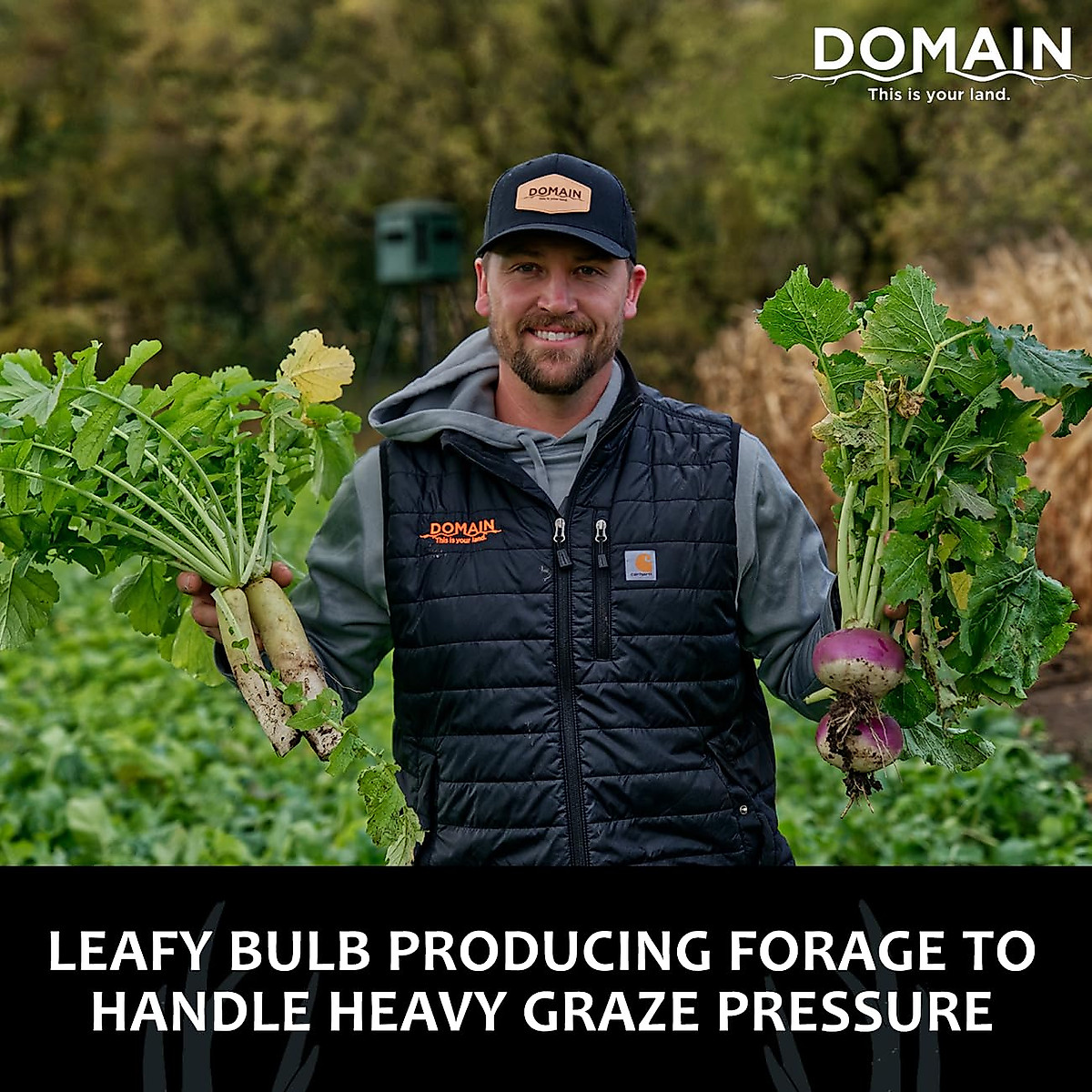 Domain Outdoor Big Sexy Food Plot Seed for Deer, 1/2 Acre, Turnip, Radish, Kale and Forage Rape, High Level of Nutrients & Protein to Support Antler Growth and Health, Fast Germination, Easy to Plant