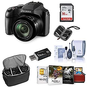Panasonic Lumix DC-FZ80 Digital Point & Shoot Camera - Bundle with 16GB SDHC Card, Camera Bag, Cleaning Kit, Memory Wallet, Card Reader, Mac Software Package