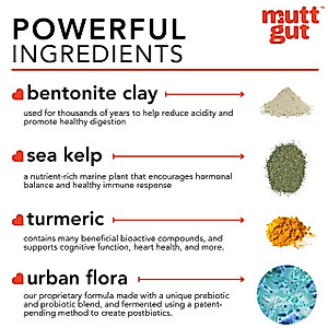 MuttGut All-Natural 3-in-1 Dog Probiotic, Prebiotic, and Postbiotic Supplement Powder - Probiotics for Dogs with 135 Billion CFUs, Anti Diarrhea, Digestive Enzymes & Antioxidants (90g)