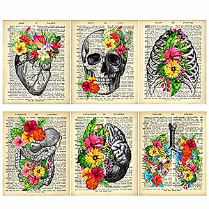 Medical Dictionary Art Set - Vintage Anatomical Posters Retro Floral Wall Decor for Doctors Office Clinic Med Student Dorm Gifts for Nurses Physician Assistant PA Women Men - Unframed 8 x 10 Prints