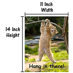 Hang in There Cat Poster - Printed on Premium Cardstock Paper - Sized 11 x 14 Inch - Perfect Funny Motivational Poster For Home or Office - Humorous Decor, Funny Quote