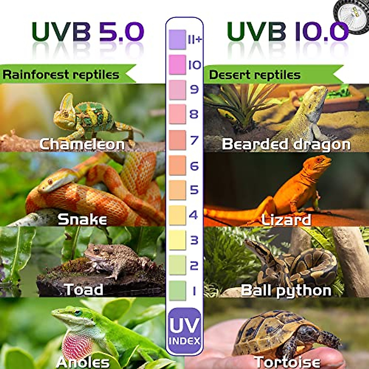 NEPTONION High Intensity UVB Reptile Bulb, UVB 10.0 Reptiles Bulb, LED 5W UV Light Bulb, UVB Compact Fluorescent Lamp, Suitable for Desert Reptiles (E27,110V)