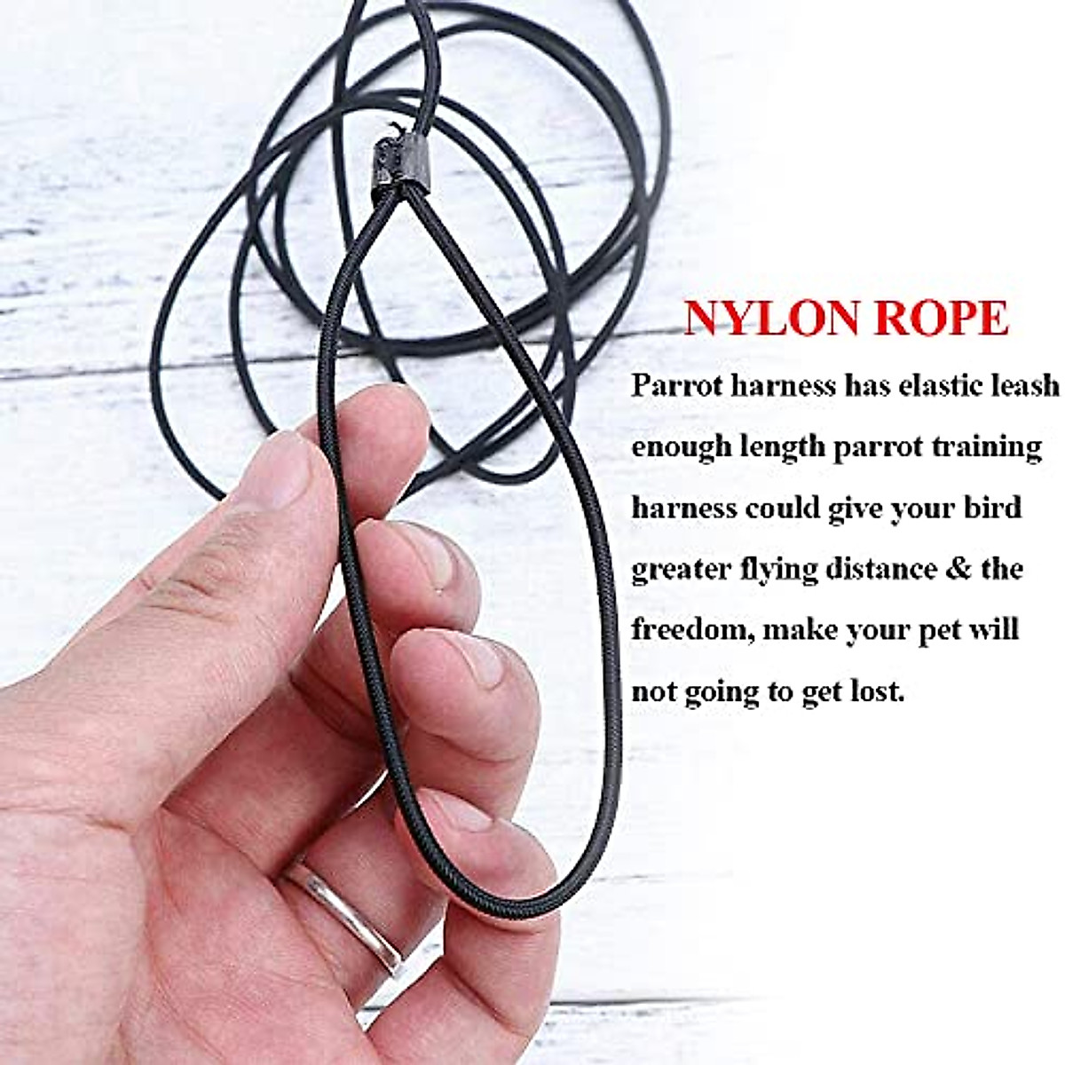 ASOCEA Bird Parrot Harness Leash Adjustable Anti-Bite Flying Training Rope Pet Outdoor Traction Lead for Budgerigar Lovebird Cockatiel Mynah Small Birds - Black